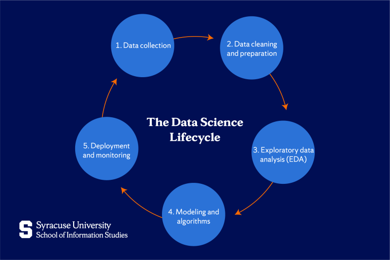 What Is Data Science? Definition, Tools, Techniques, & More