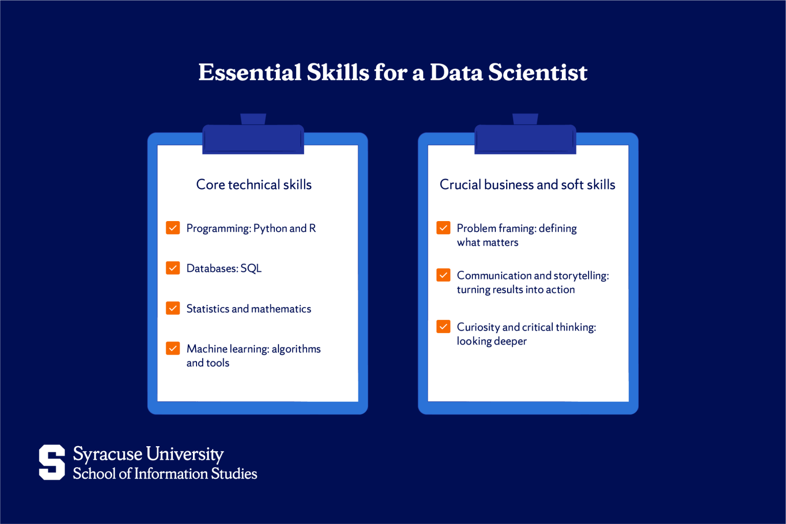 What Does a Data Scientist Do? Tasks, Skills & Career Paths