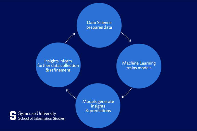 Data Science vs. Machine Learning: Key Differences Explained