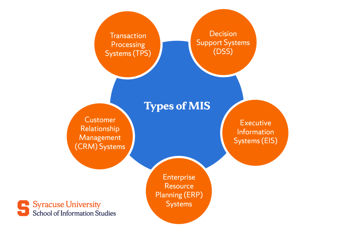 MIS vs. CIS: Which Path to Choose for a Future in Tech?